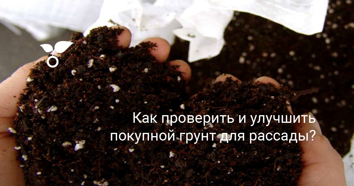 Как проверить и улучшить покупной грунт для рассады? — Ботаничка