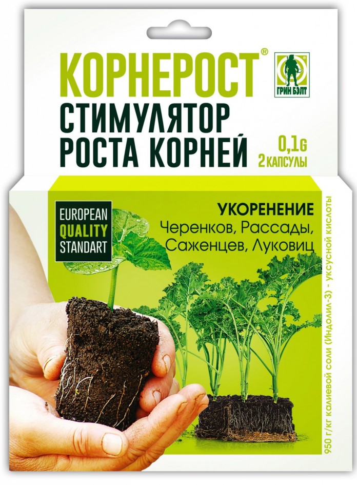 «Лайфхаки» для рассады: минимум забот, 100% здоровый урожай — Ботаничка
