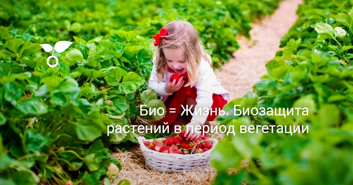 Био = Жизнь. Биозащита растений в период вегетации — Ботаничка