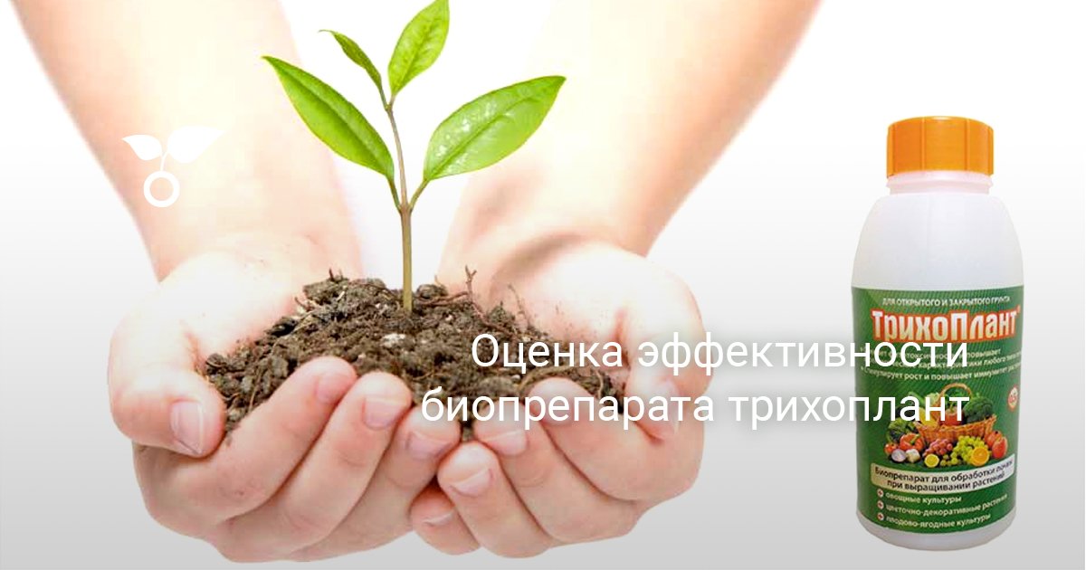 Оценка биологической эффективности (стимулирующих и биоконтролирующих ...