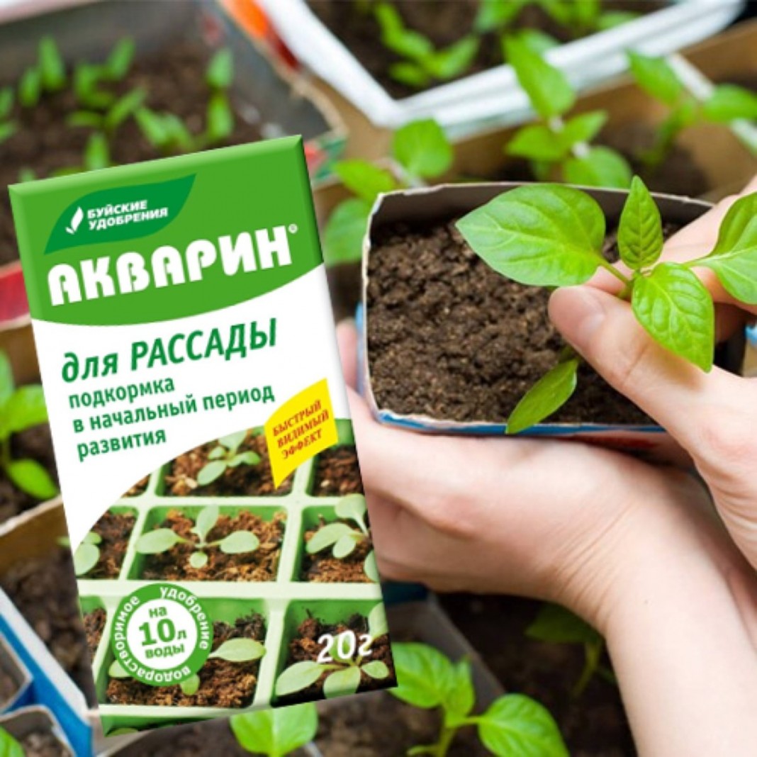 Удобрения - инструкция по применению — Ботаничка