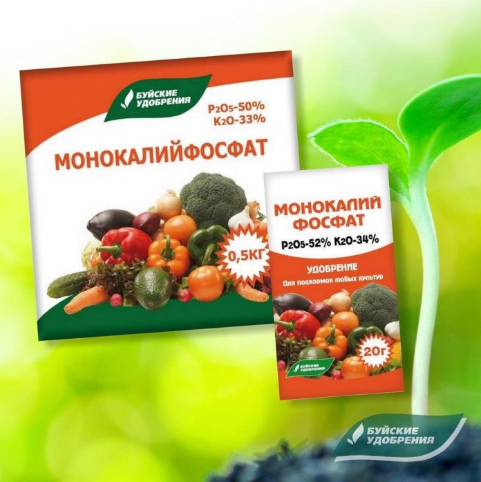 Осенняя подготовка газона к зиме — Ботаничка