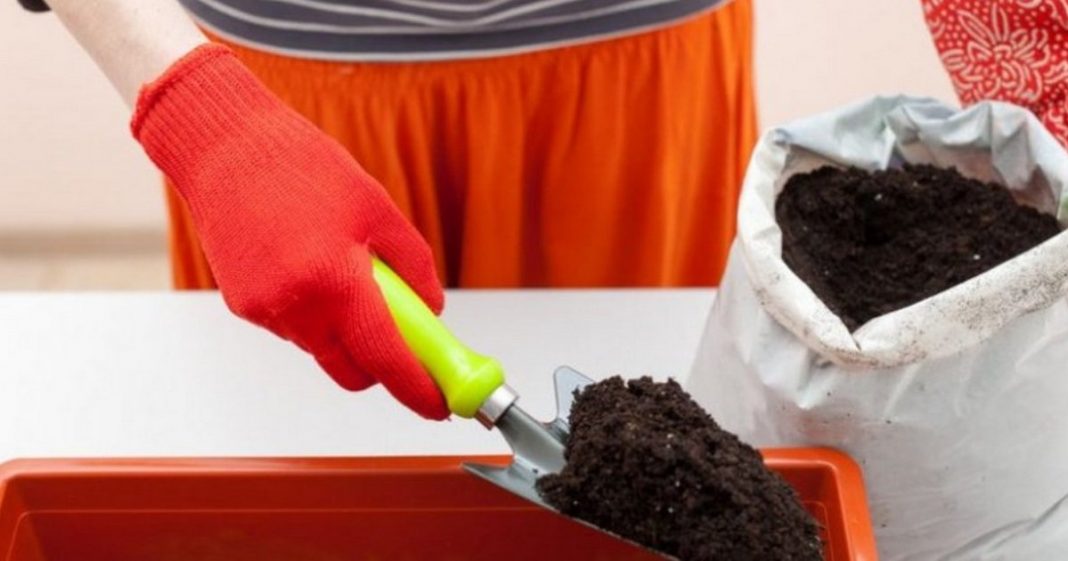 Улучшаем грунт почвоулучшителем Reasil — Ботаничка