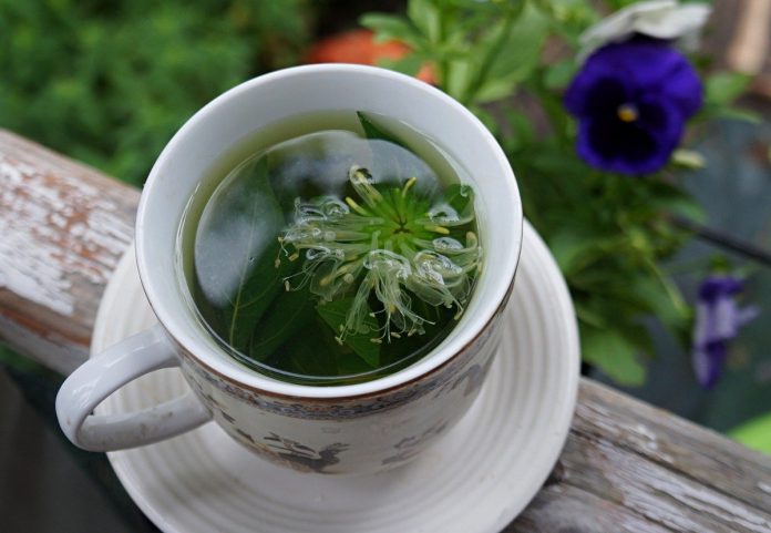Монарда в саду — любуемся, лечимся и пьем вкусный чай. Выращивание ...