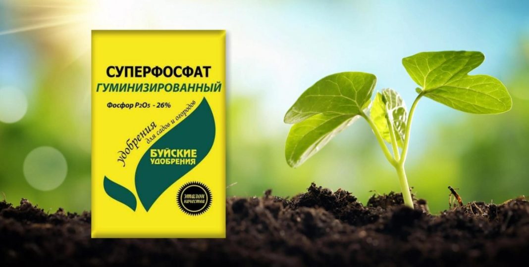 Суперфосфат простой — Ботаничка