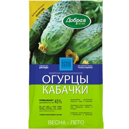 Выращивание огурцов в открытом грунте — Ботаничка