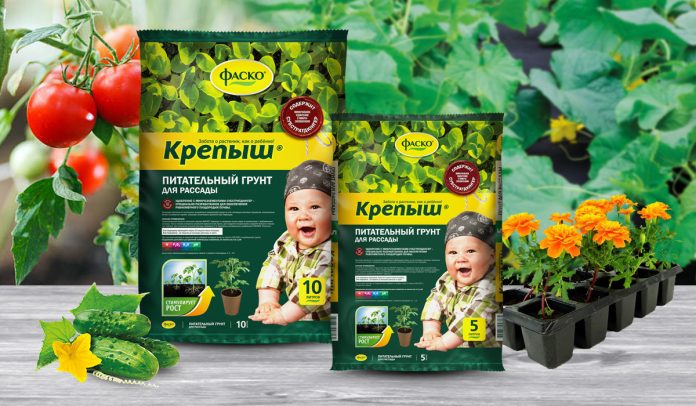 Секреты выращивания крепкой рассады — Ботаничка
