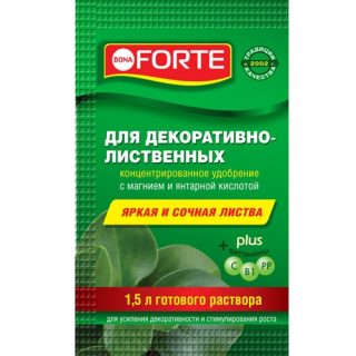 Чем подкормить фикус? — Ботаничка