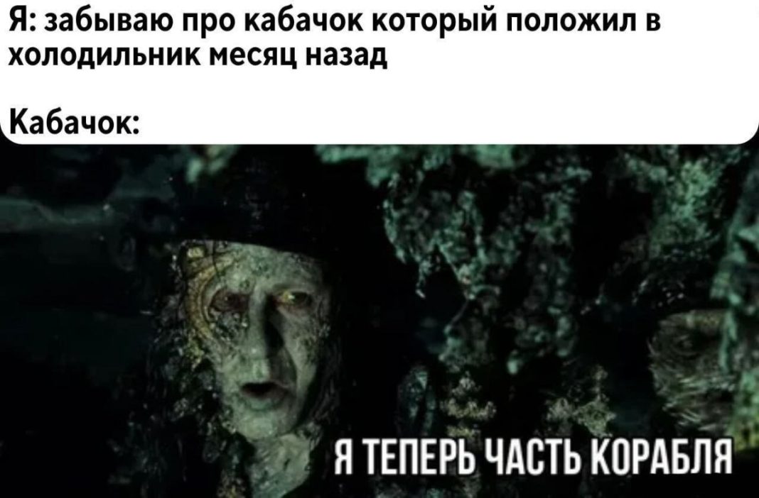 Мемы про кабачки — дачный юмор о любимом овоще. Фото — Ботаничка