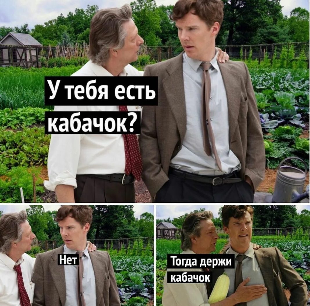 Мемы про кабачки — дачный юмор о любимом овоще. Фото — Ботаничка