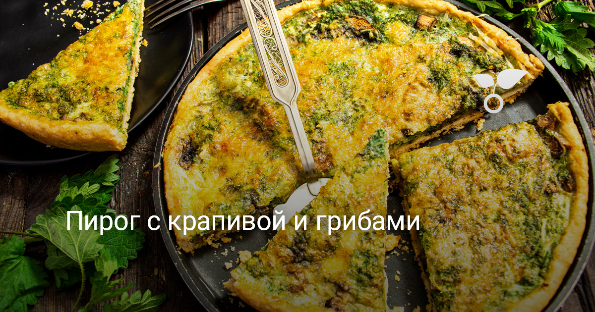 Пирог с крапивой и грибами — Ботаничка